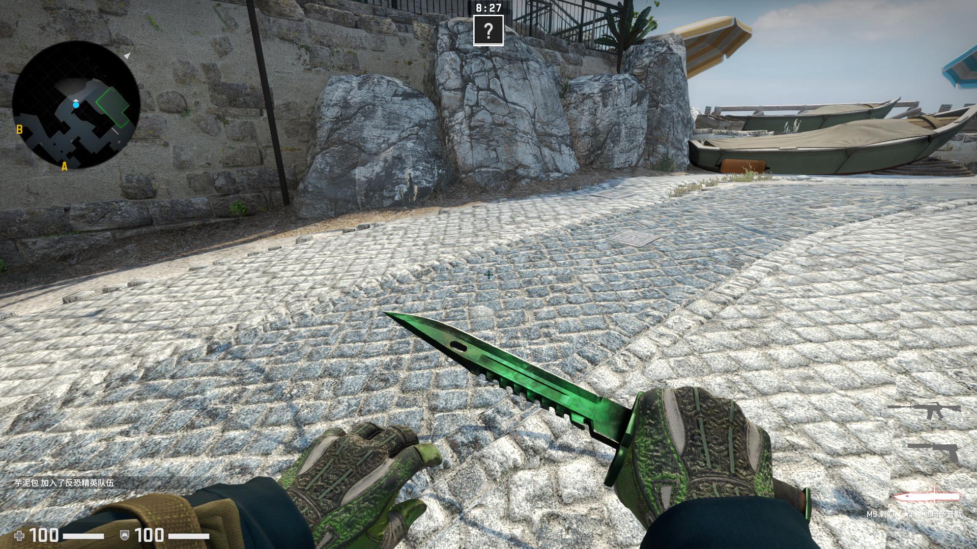 可5e完美☁M9刺刀“绿宝石”☁树篱迷宫☁火蛇ak印花集此CSGO账号已出租340次帐号出租-租号玩