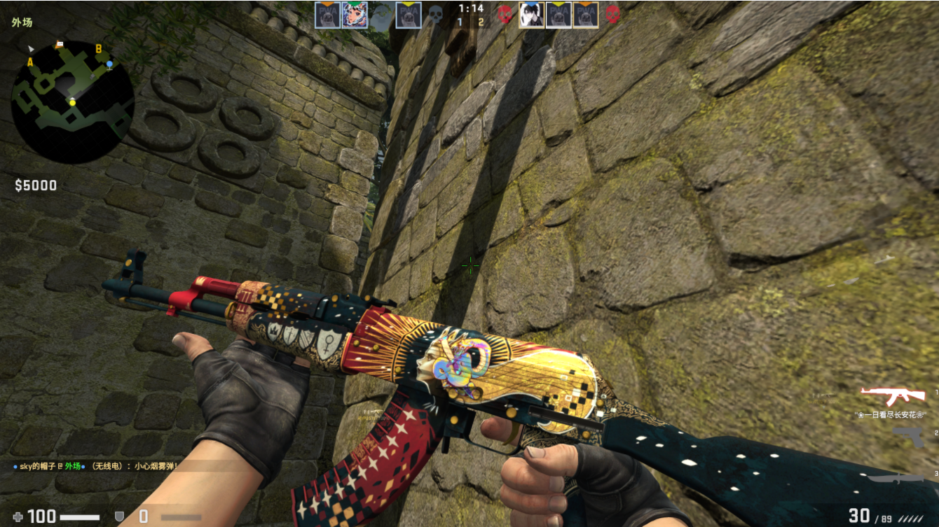 可完美5e 禁止官匹 蝴蝶刀 九头蛇手套 枪都有皮 m4印花集 ak皇后 awp黑色魅影此CSGO账号已出租141次帐号出租-租号玩