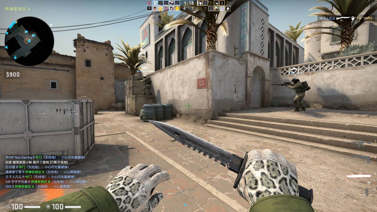 【只可5E】雪豹手套原版M9刺刀印花集全套M4印花集M9原皮此CSGO账号已出租55次帐号出租-租号玩