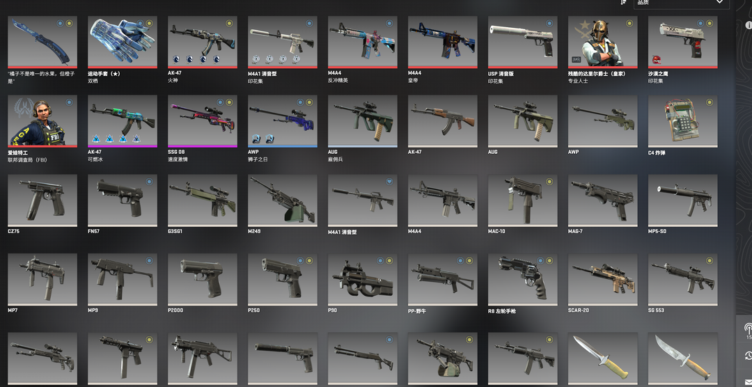 完美5E 略磨澄澈之水蝴蝶刀⭐双栖手套⭐印花集全套⭐AK火神⭐反冲精英⭐狮子之日⭐AK可燃冰⭐探员⭐此CSGO账号已出租141次帐号出租-租号玩